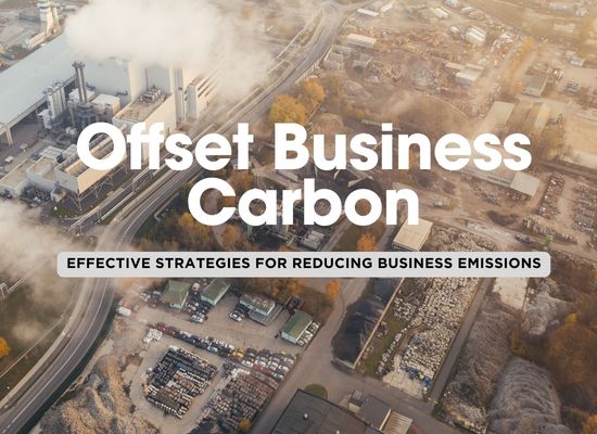 Carbon Smart: 8 Steps for Small Businesses to Offset Emissions ... Carbon Smart: 8 Steps for Small Businesses to Offset Emissions ...